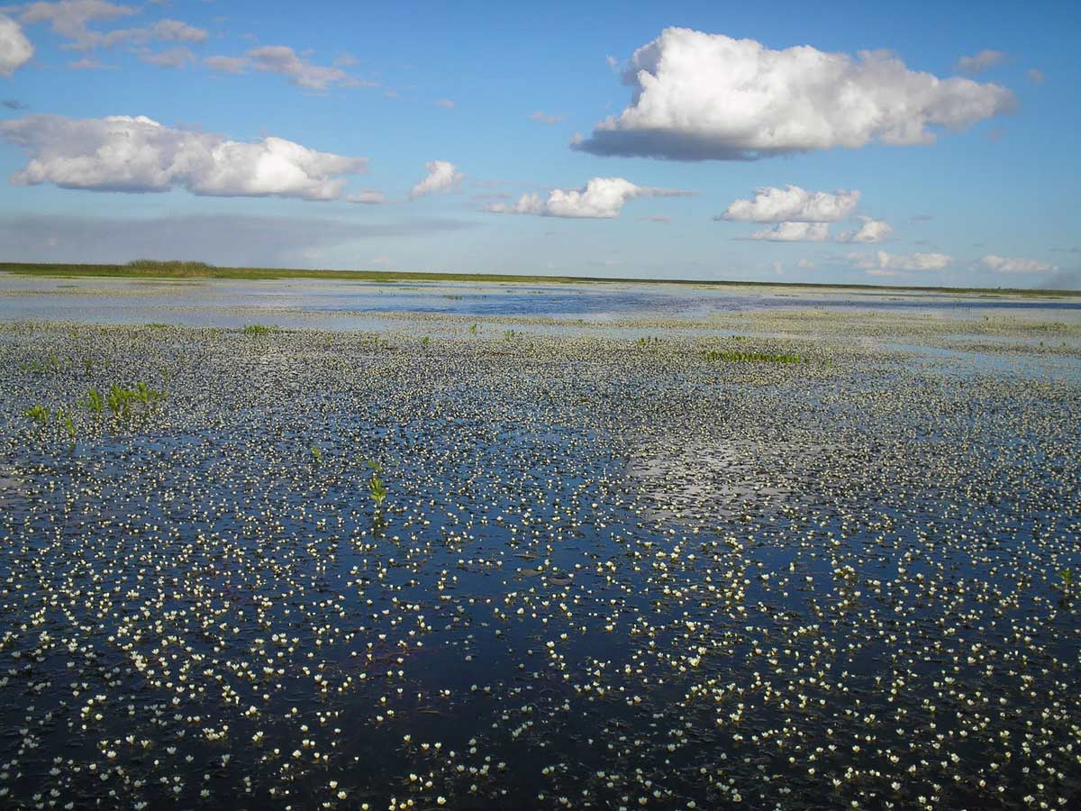 El Parque Provincial Iberá a punto de Convertirse en Parque Nacional ...