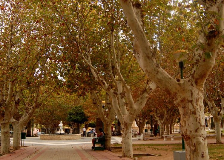 Sección de Andalgalá y viajes - tripin.travel