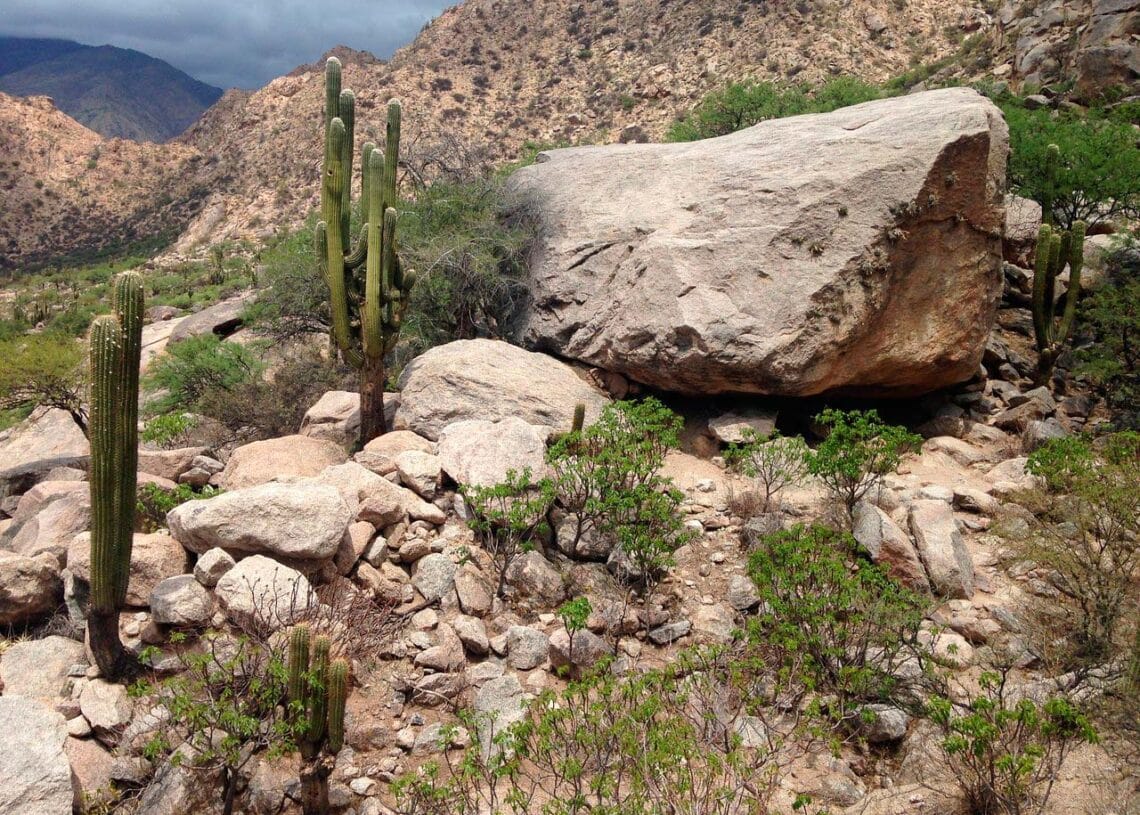 Festival Tradición Calchaquí, el evento de la región de los valles salteños