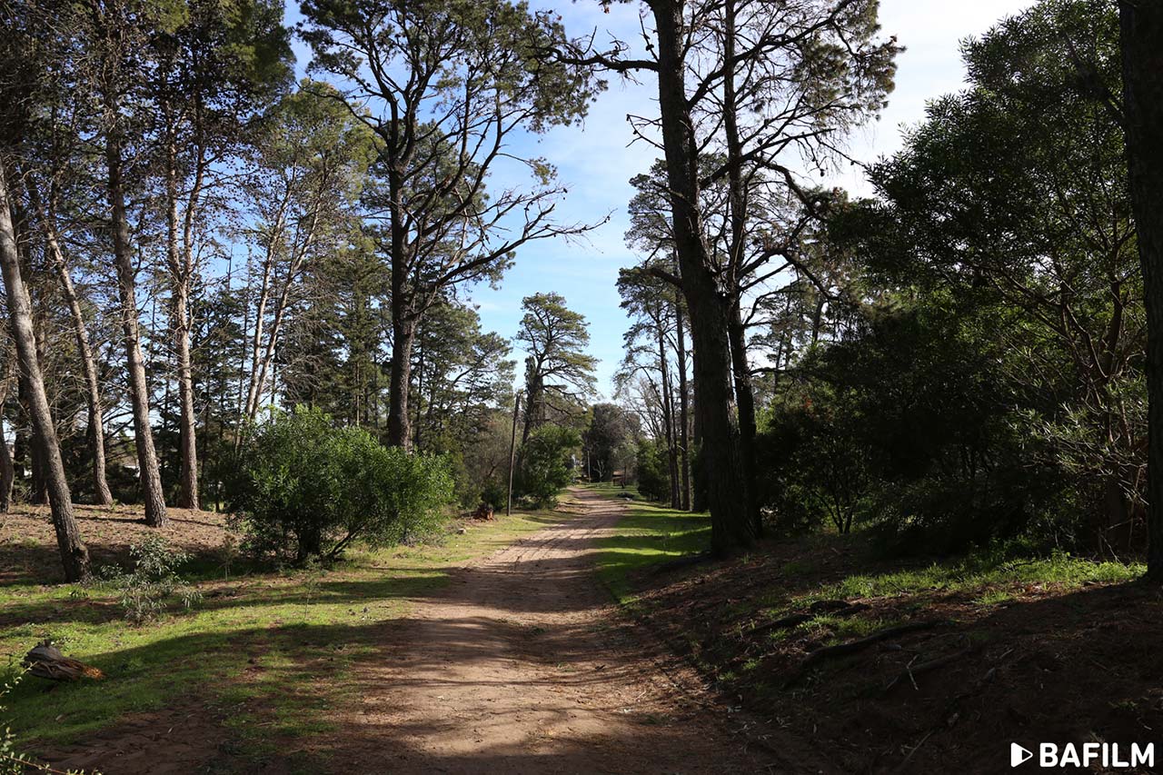 Lugares para visitar en Monte Hermoso - Tripin Argentina