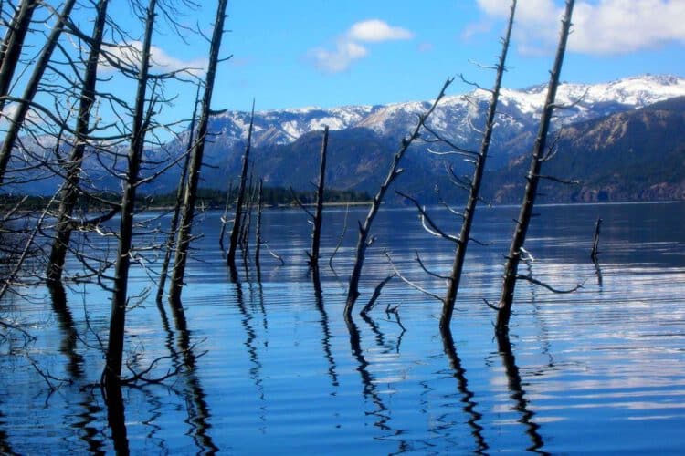 Bosque Sumergido, un lugar mágico de Villa Traful | Tripin Argentina