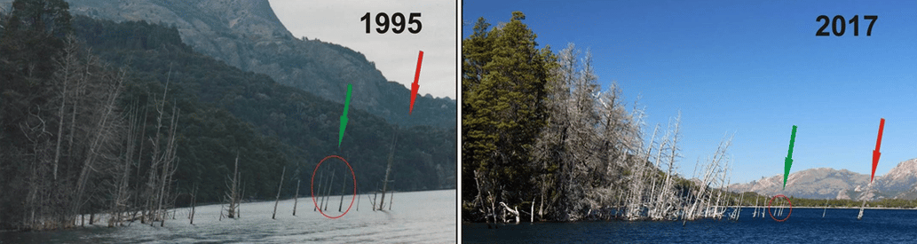 Bosque Sumergido, un lugar mágico de Villa Traful | Tripin Argentina