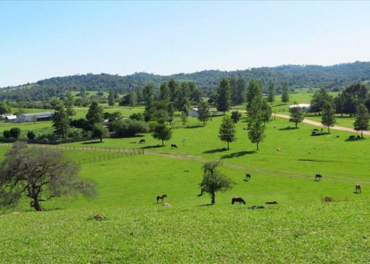 Orán ( San Ramón de la Nueva Orán ), Salta - Tripin Argentina