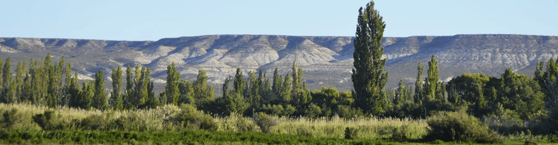 Gaiman, Dolovan y Valle Inferior de Chubut - Tripin