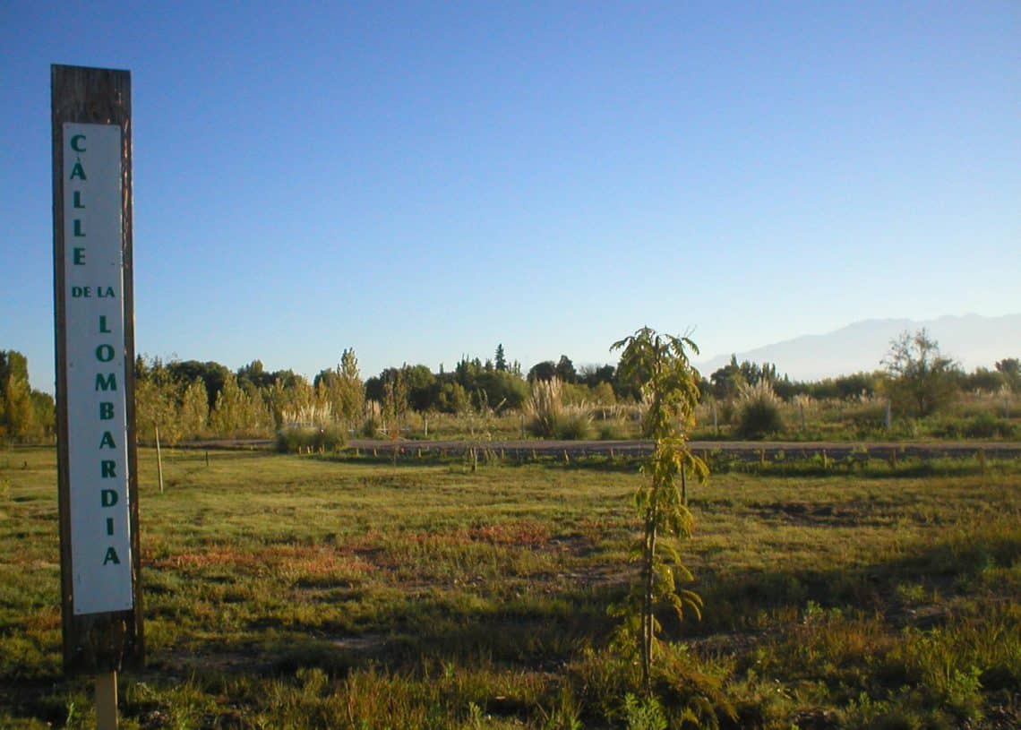 Alto Valle del Rio Tunuyán en Mendoza | Tripin Argentina