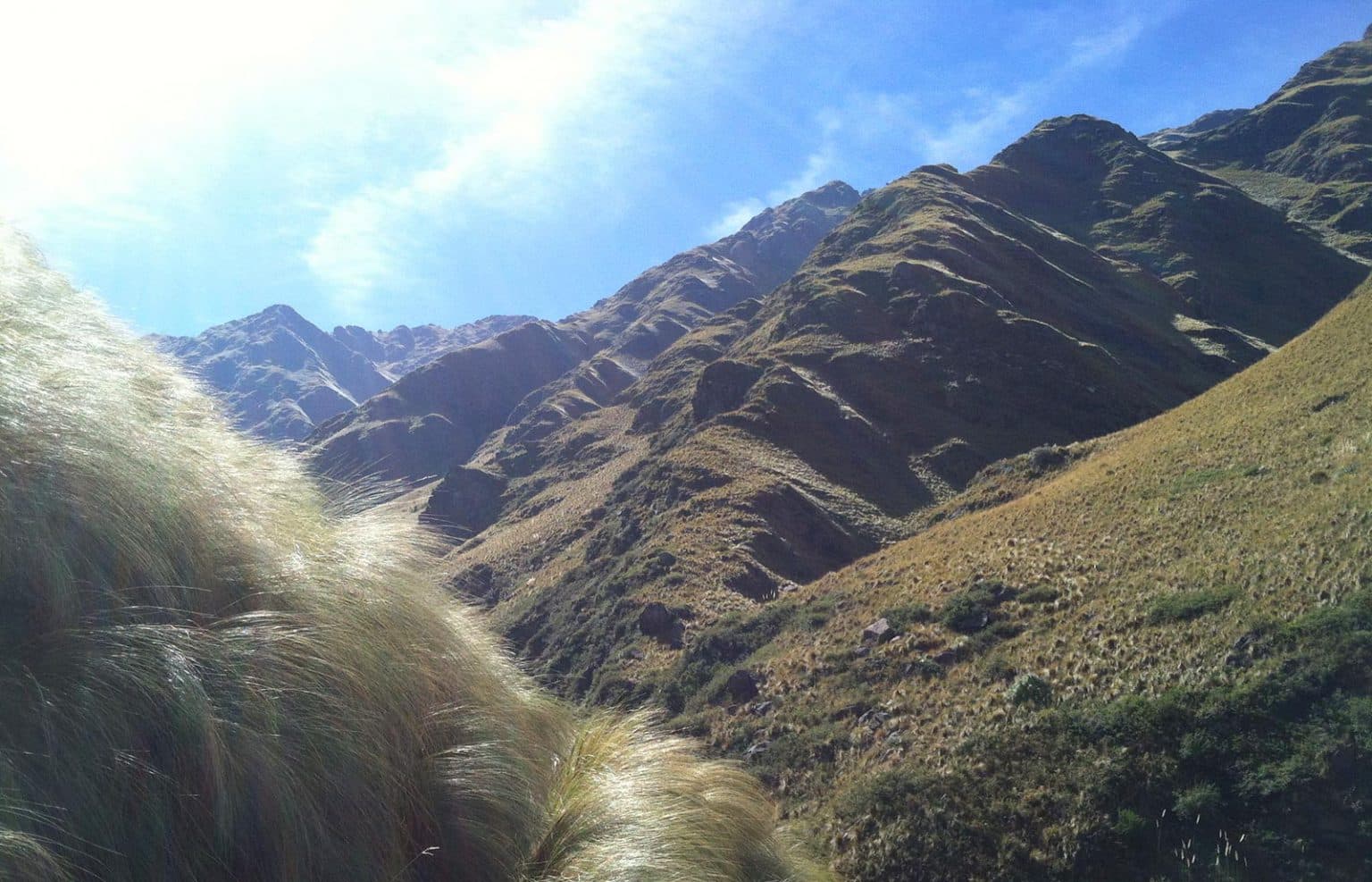 Reserva Provincial Natural Mogote Bayo, Merlo, San Luis | Tripin Argentina