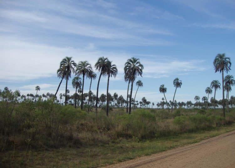 Colón, Entre Ríos | Tripin Argentina