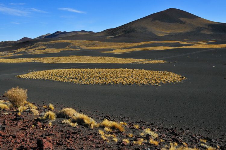 Región de Cuyo, el encanto de su pueblo y paisajes que cautivan