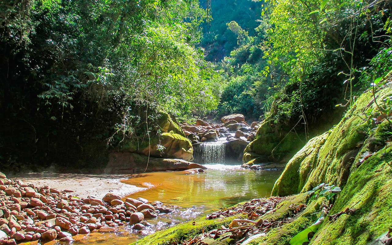 7 Parques Nacionales imperdibles de Argentina - Tripin