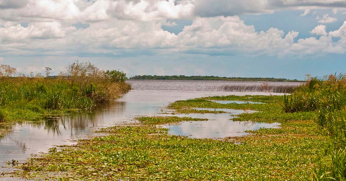 Nace el nuevo Parque Nacional Iberá, la mayor reserva natural del país