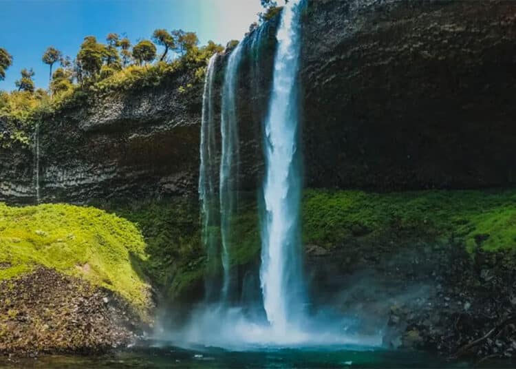 Tripin | Blog de Viajes y Turismo